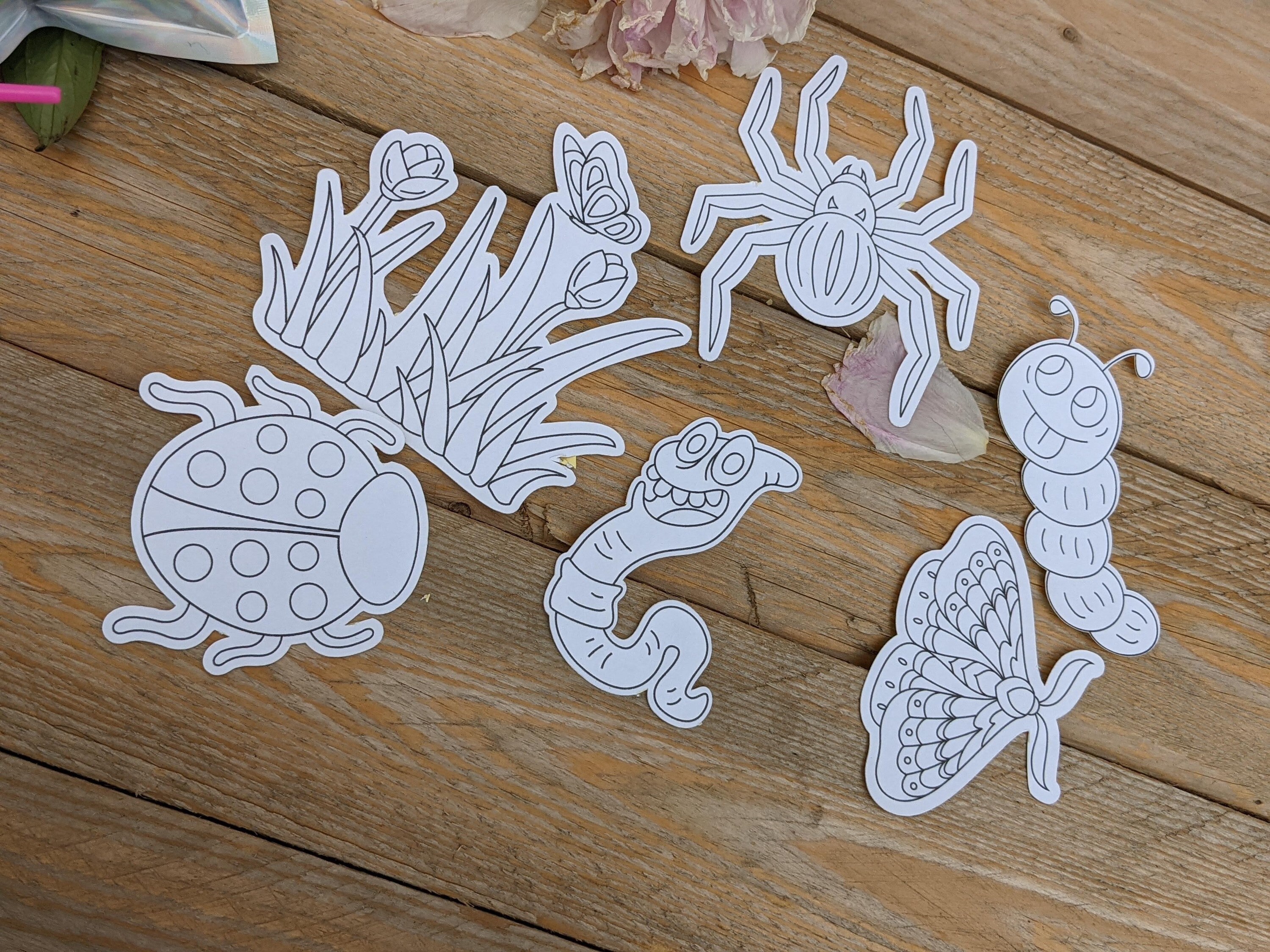 Minibeast Craft Set Children's Activity kids Art and - Etsy 日本