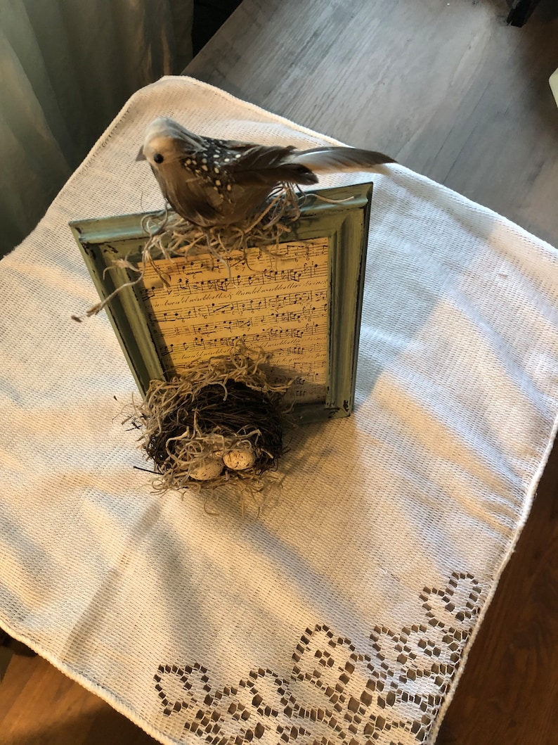 Framed Bird Nest With Eggs and Bird - Etsy