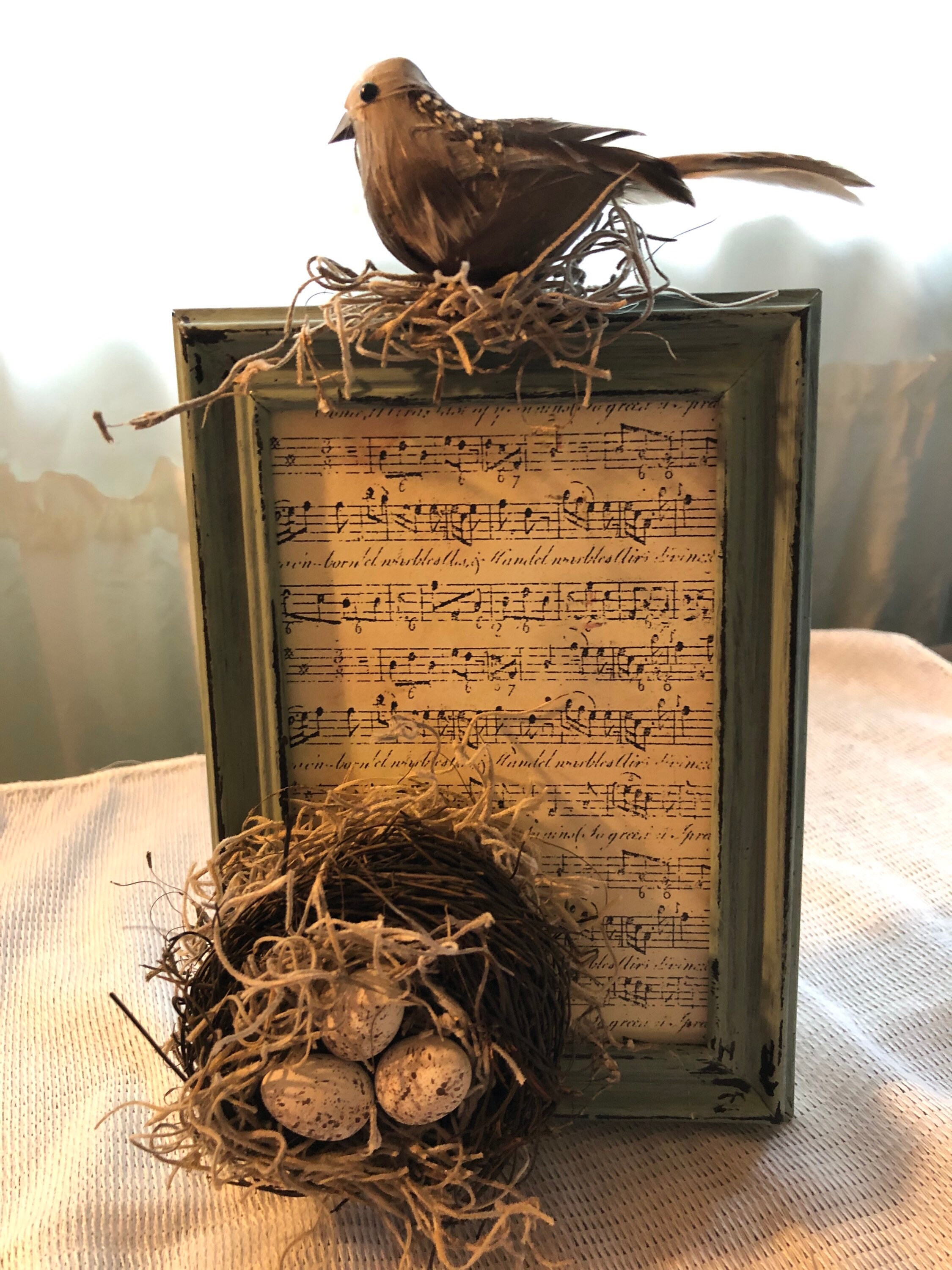 Framed Bird Nest With Eggs and Bird - Etsy