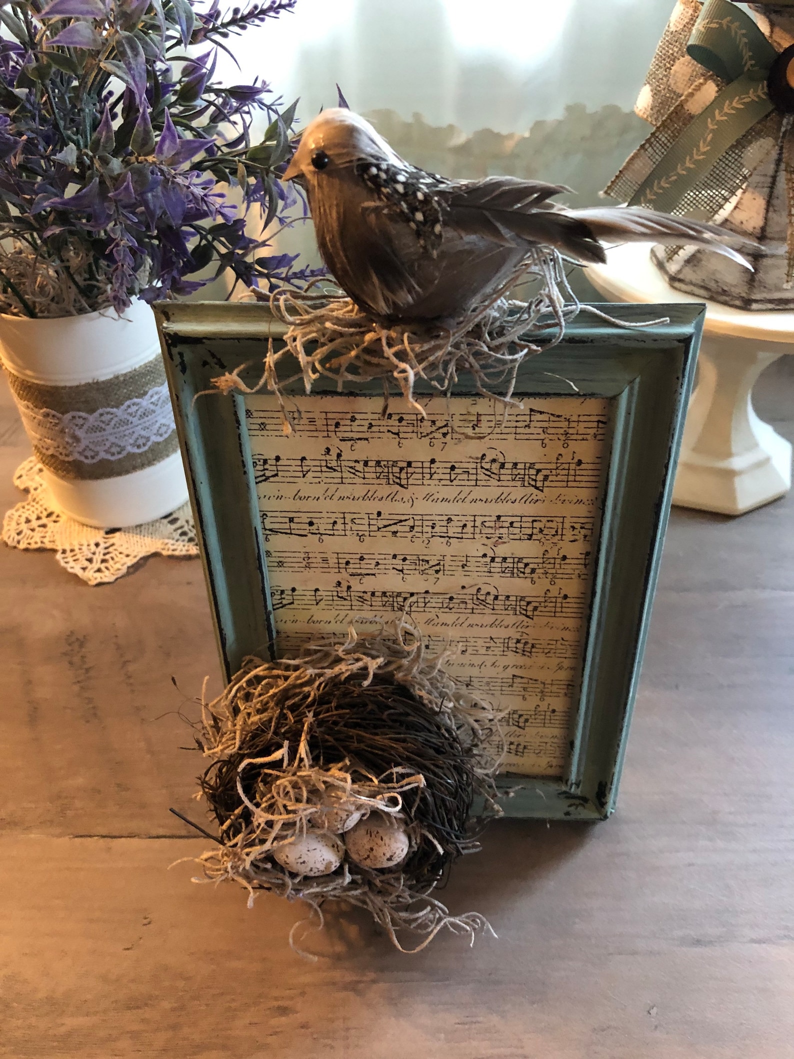Framed Bird Nest With Eggs and Bird - Etsy