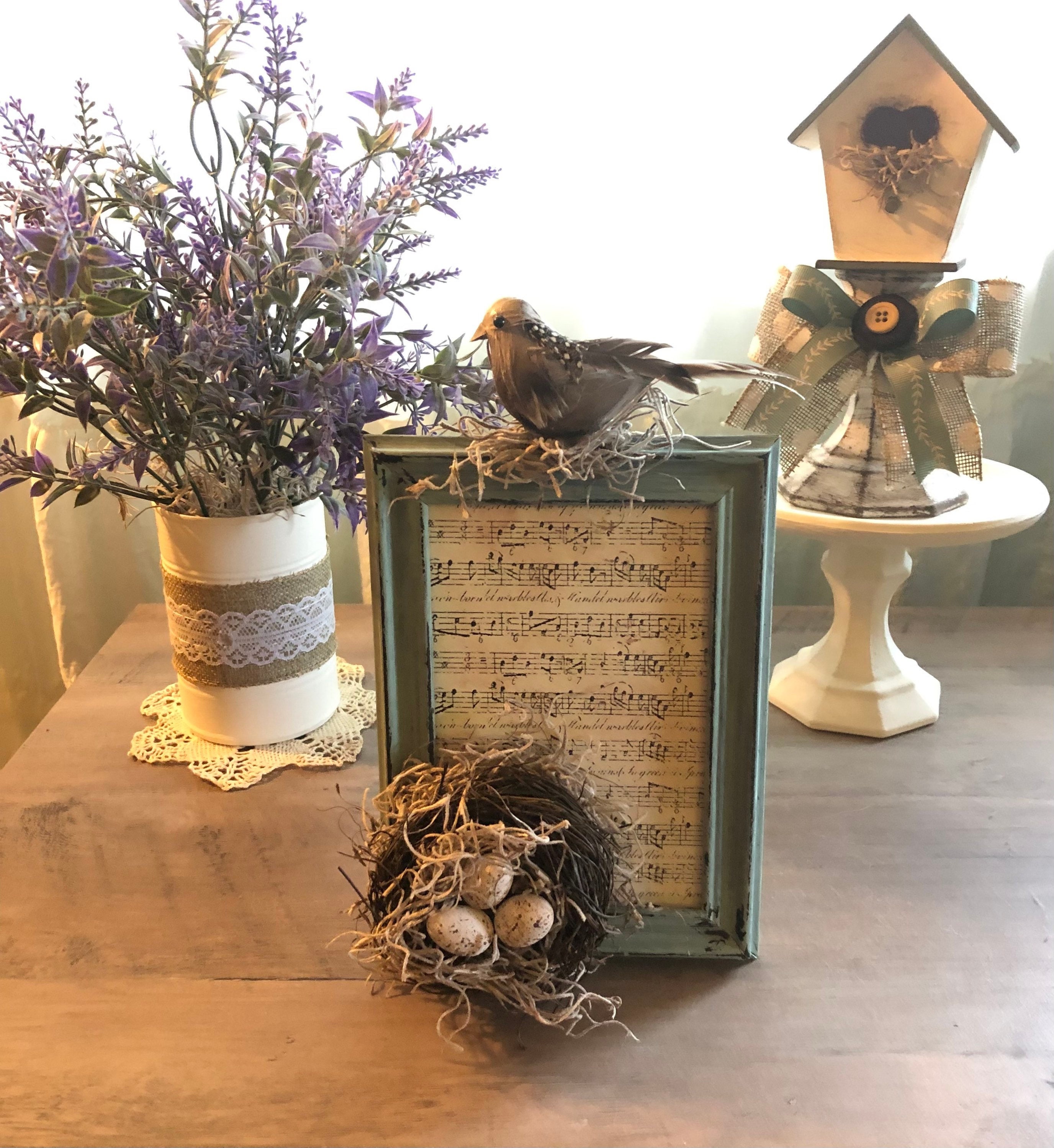 Framed Bird Nest With Eggs and Bird - Etsy