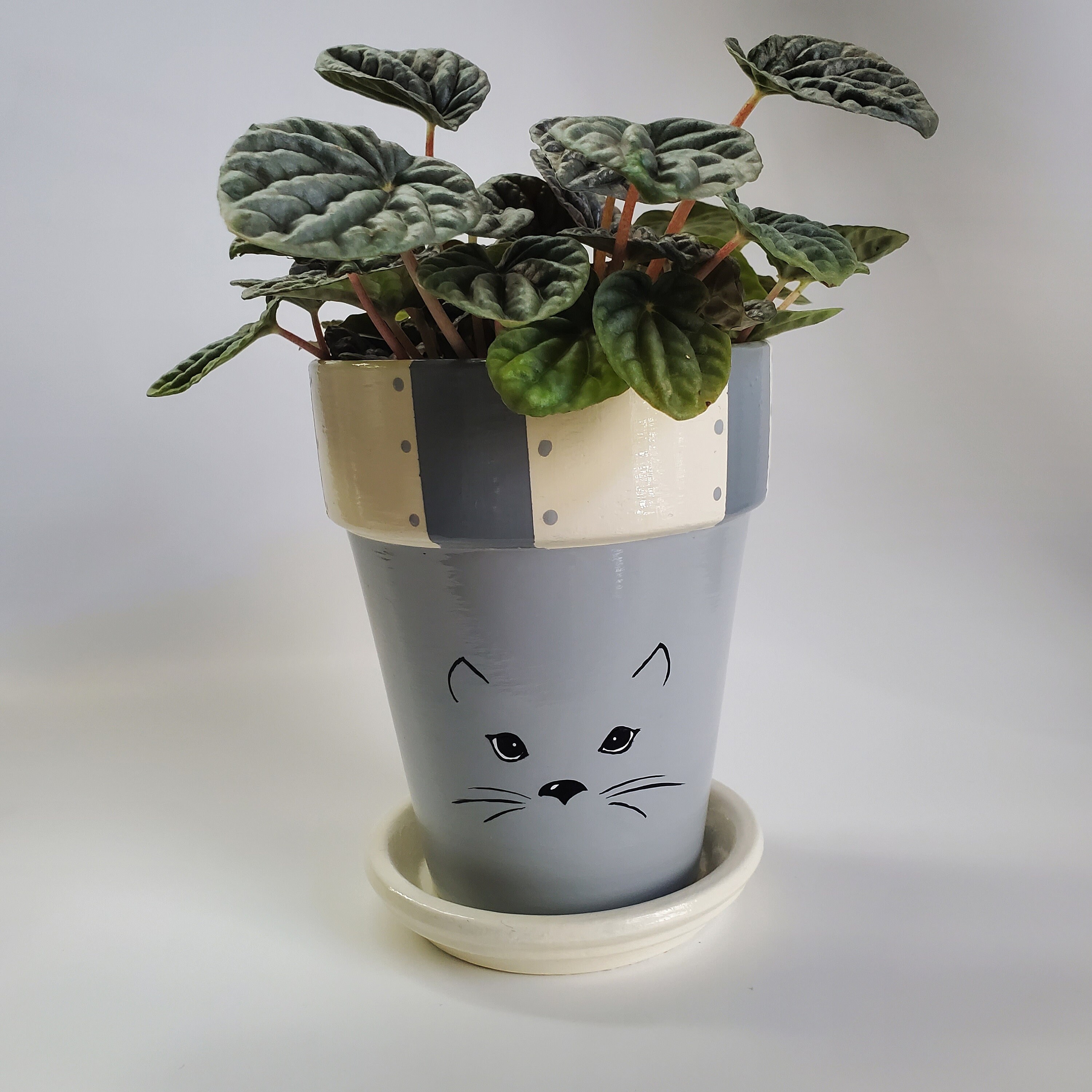 Kitty Cat Face Flower Pot Planter 4.5 Inch - Etsy