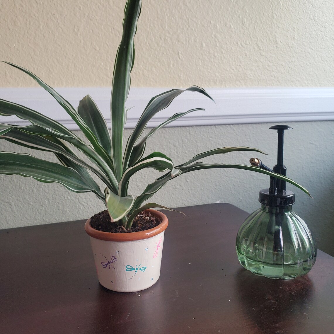 Colorful Dragonfly Planter Pot Hand Painted 3.5 Short - Etsy