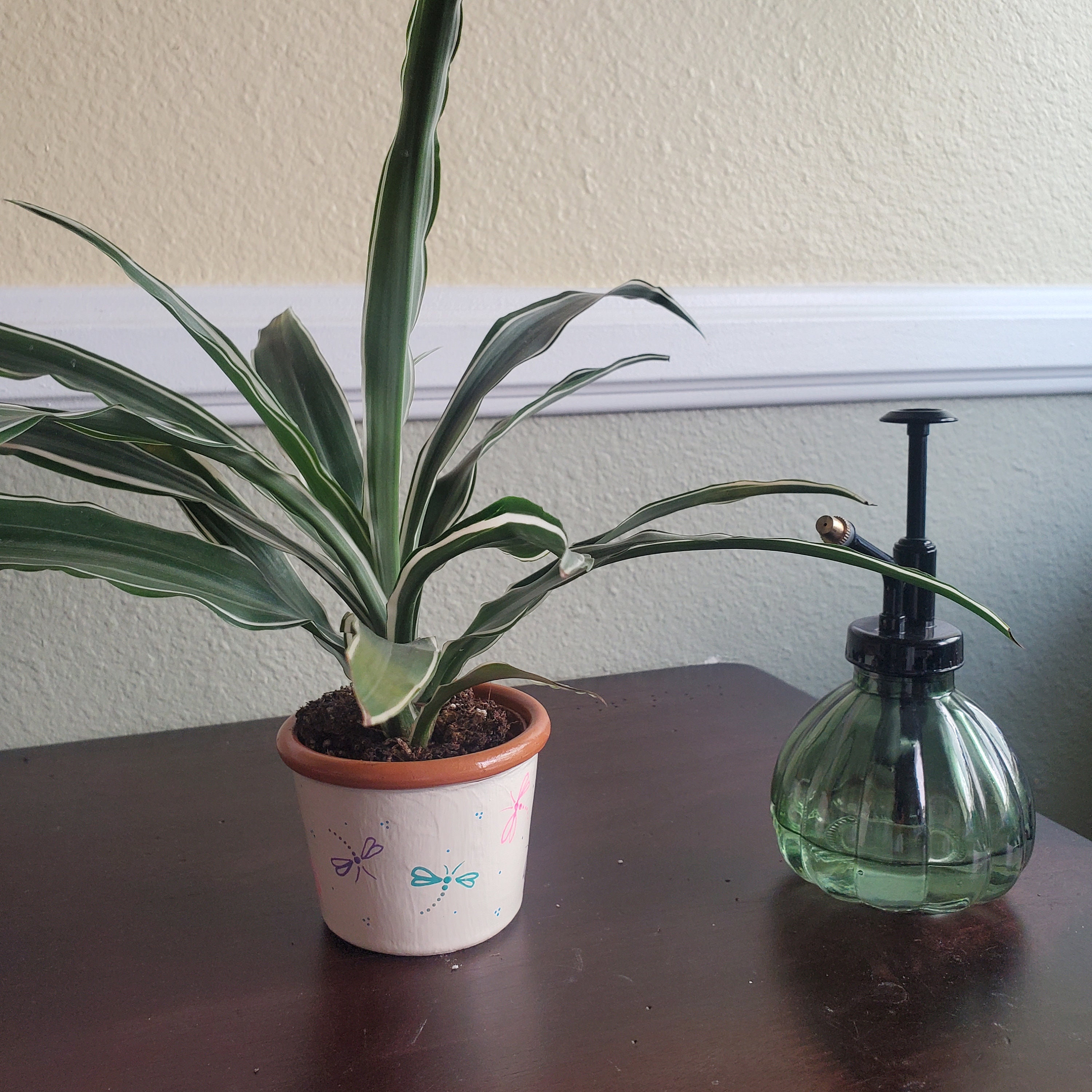 Colorful Dragonfly Planter Pot Hand Painted 3.5 Short - Etsy