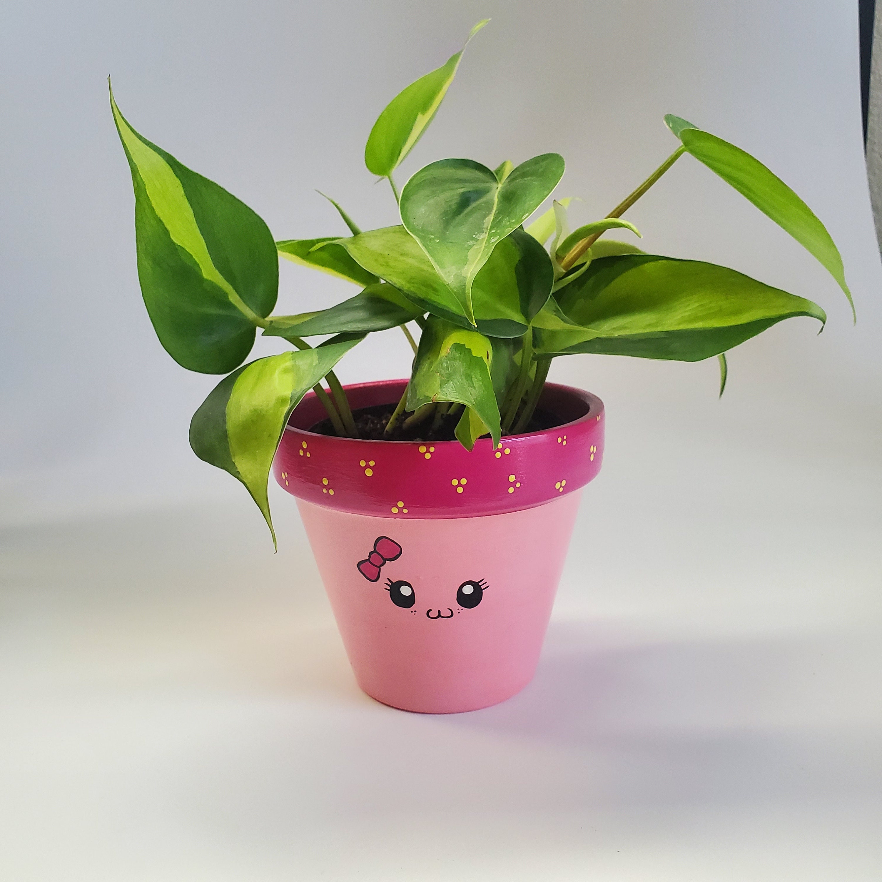 Hand Painted Pink Happy Face Flower Pot - Etsy