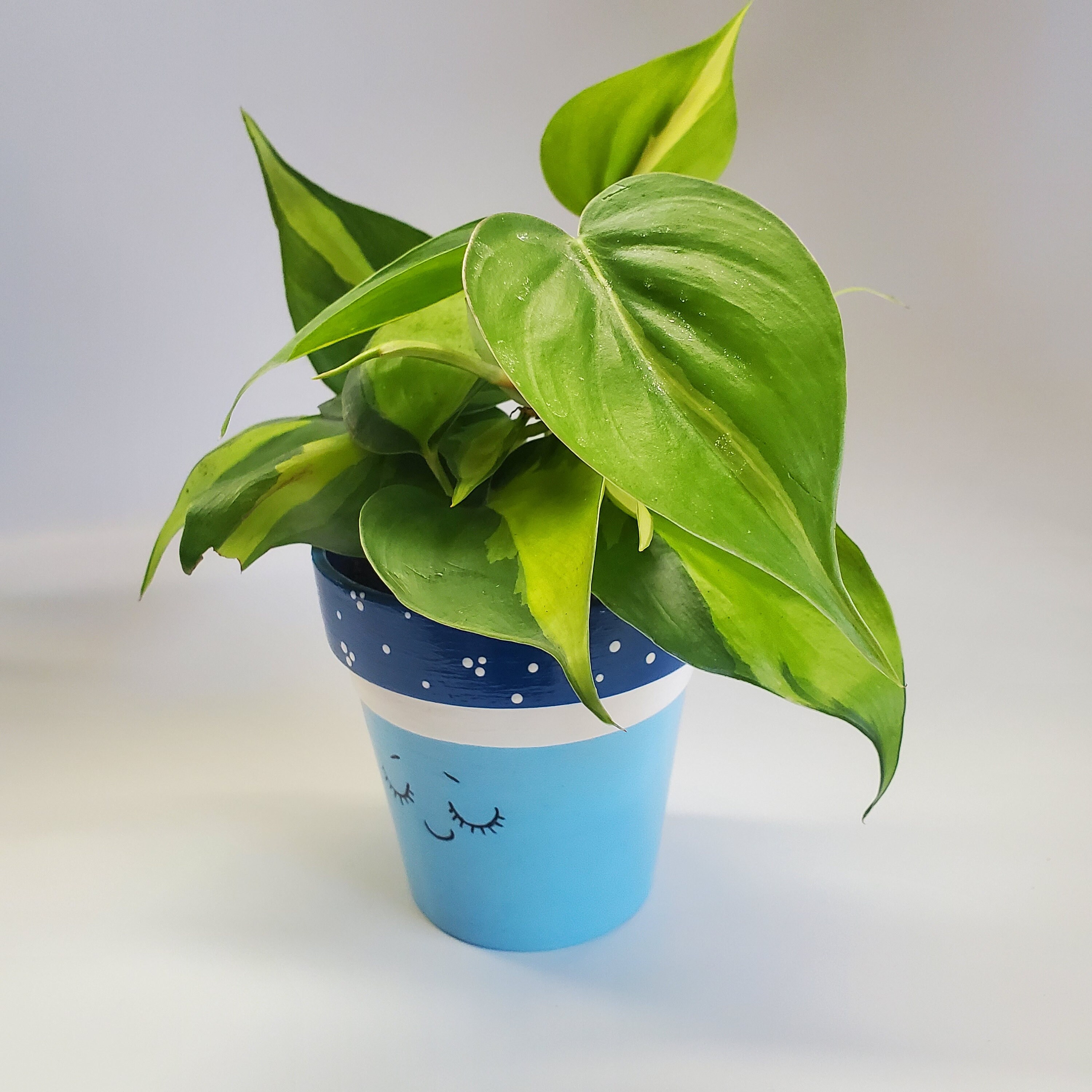 Hand Painted Blue Happy Face Flower Pot 4" - Etsy