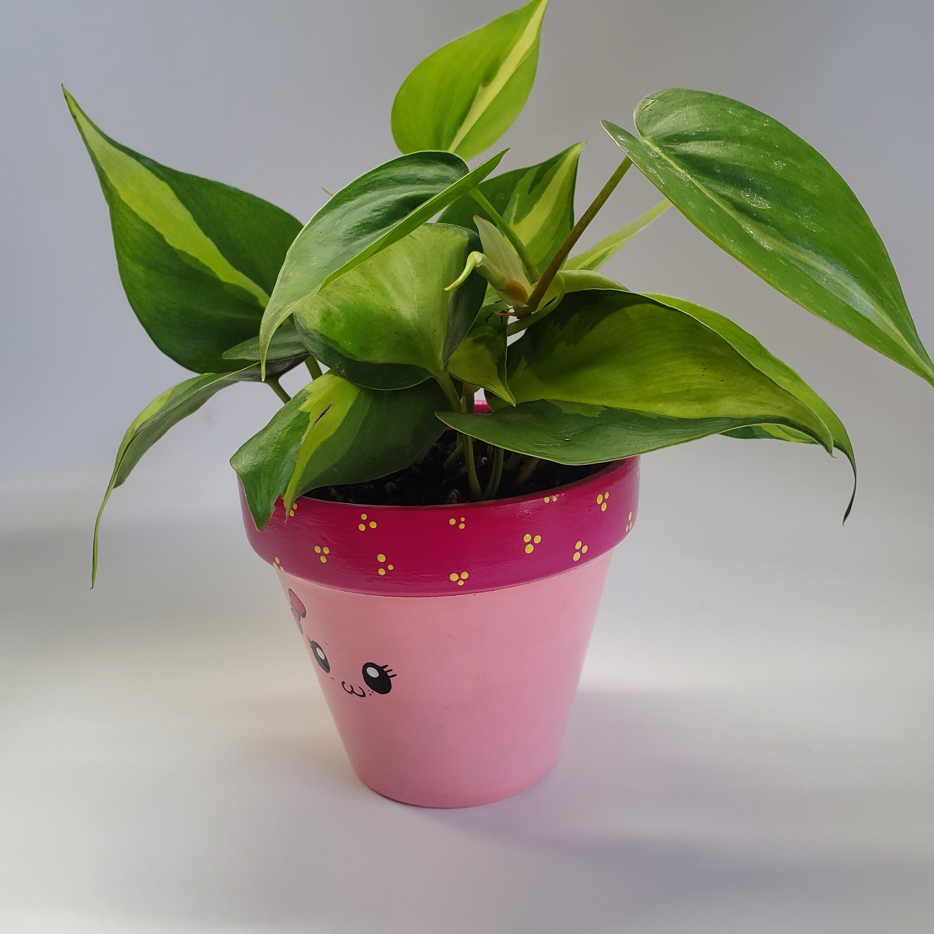 Hand Painted Pink Happy Face Flower Pot - Etsy