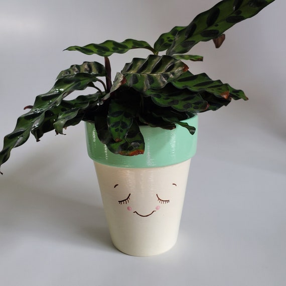Hand Painted Cream and Green Happy Face Flower Pot Planter | Etsy