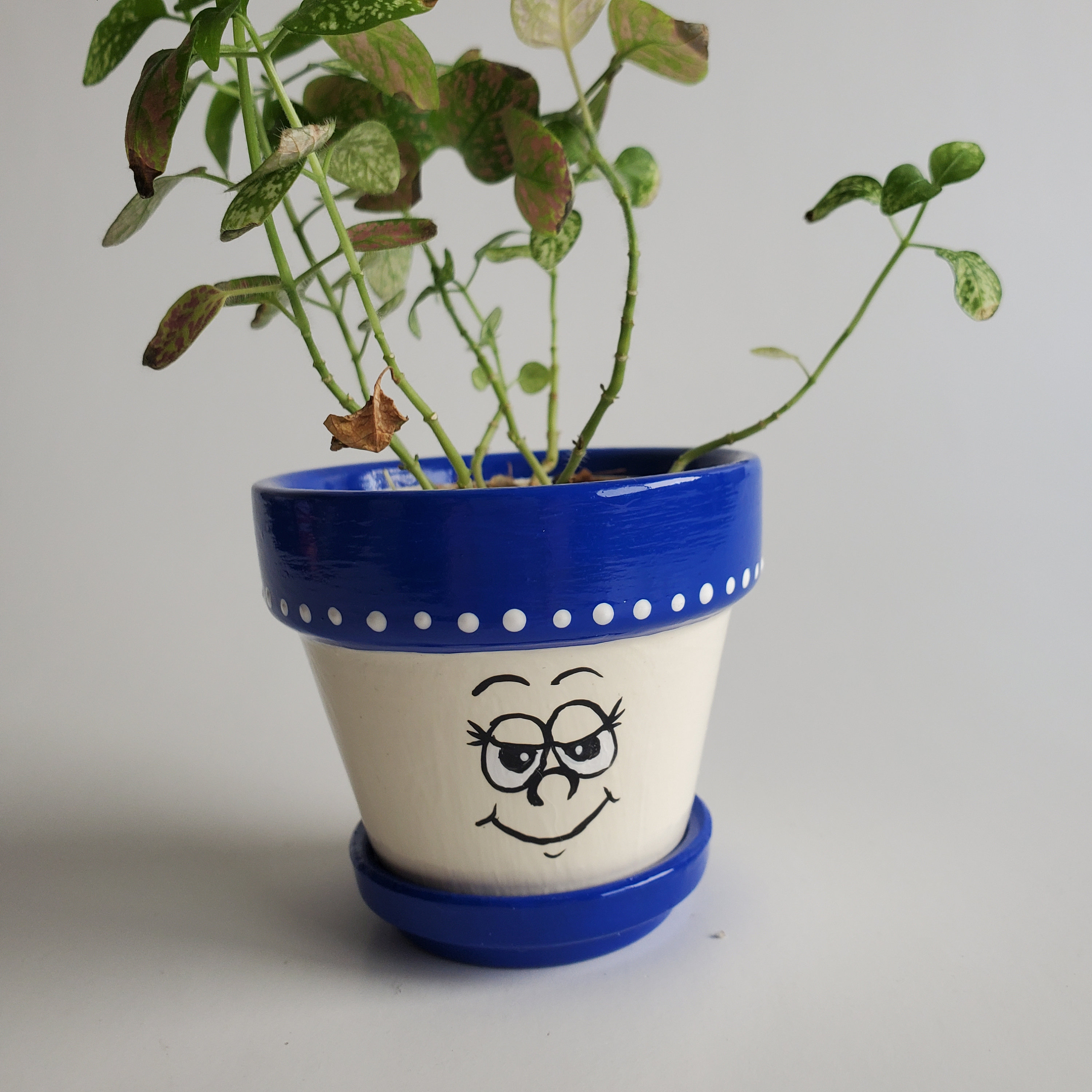 Small Blue and Cream Happy Face Flower Pot Planter Hand Painted 2.75 ...