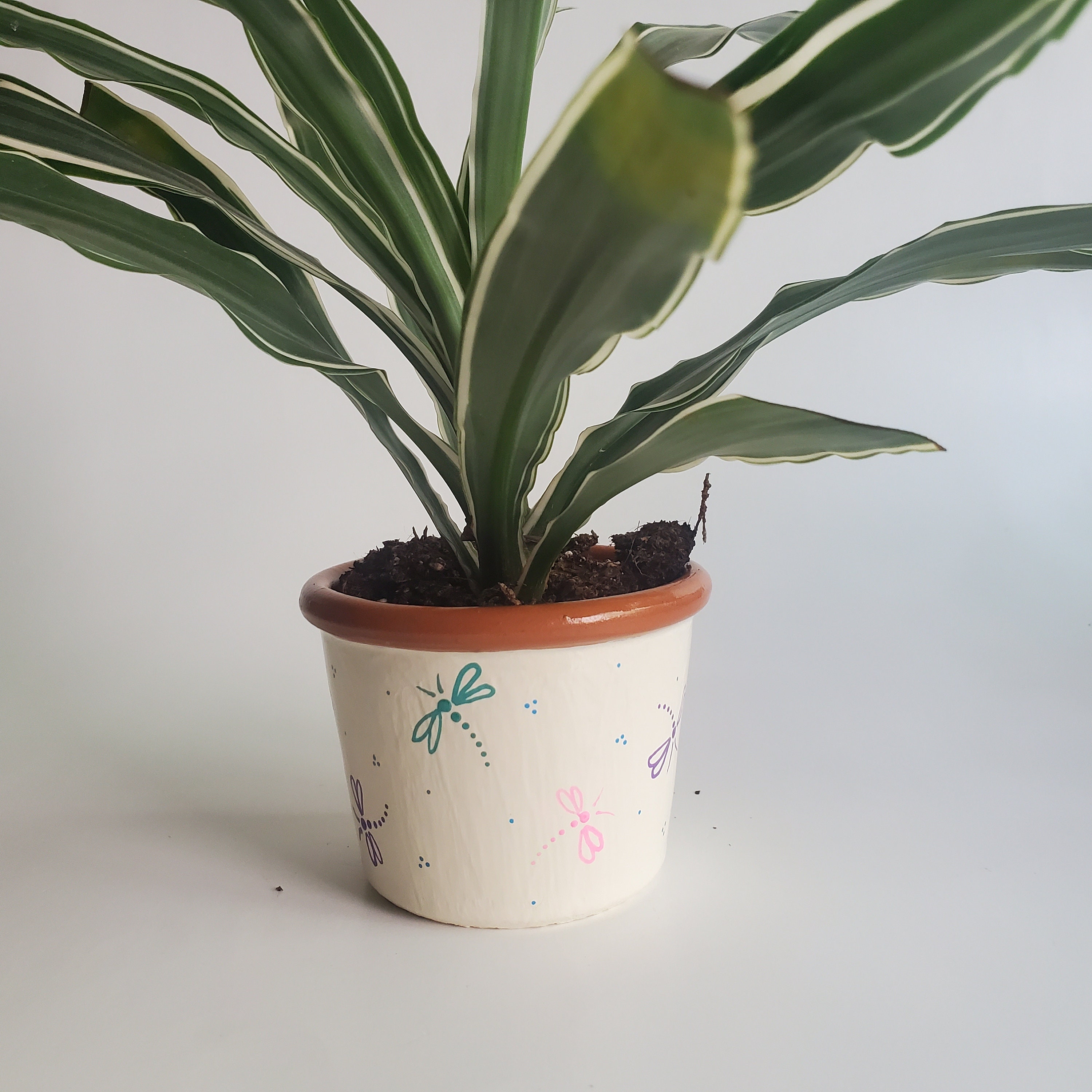 Colorful Dragonfly Planter Pot Hand Painted 3.5 Short | Etsy