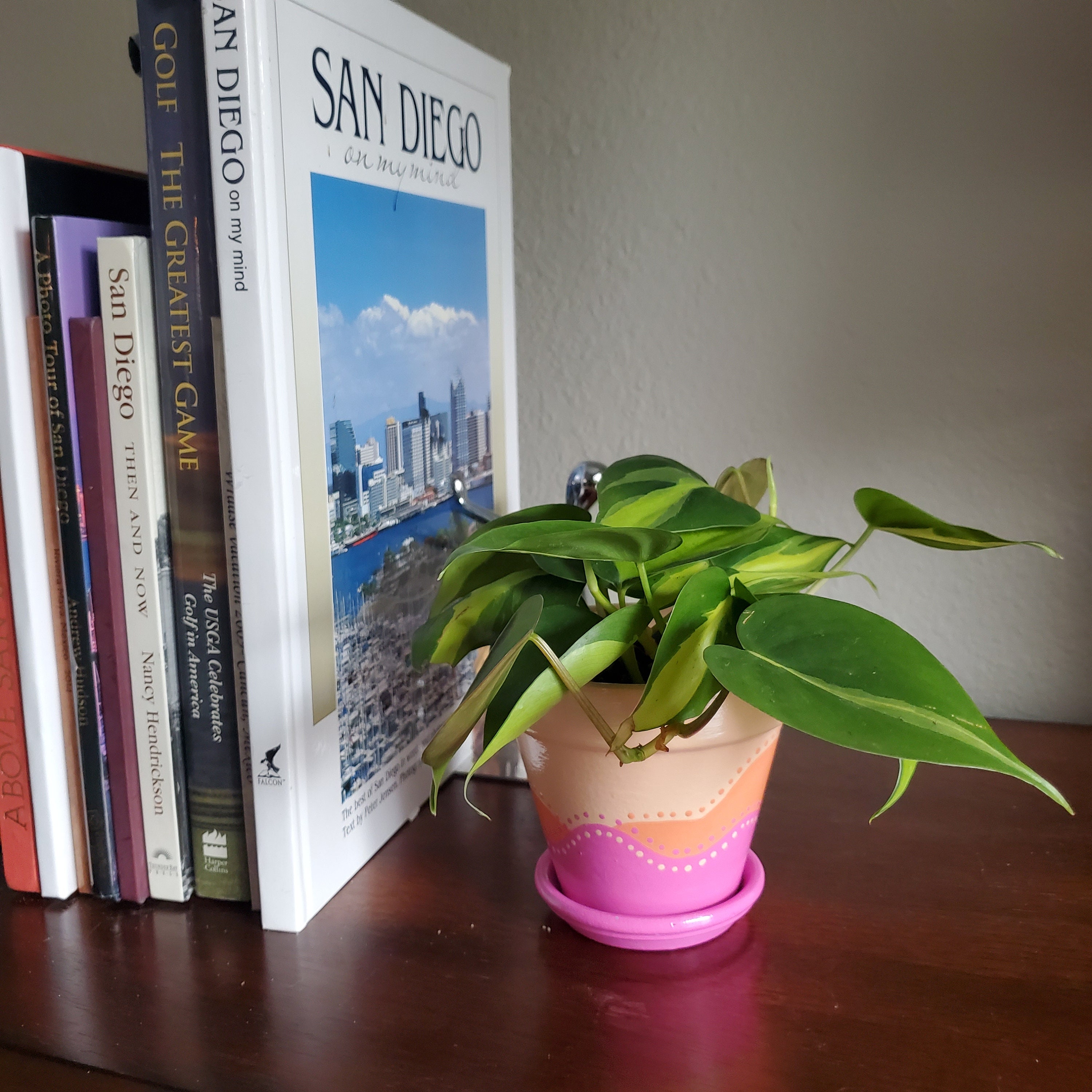 Sunset Colors Planter Flower Pot 4.5 - Etsy Sweden