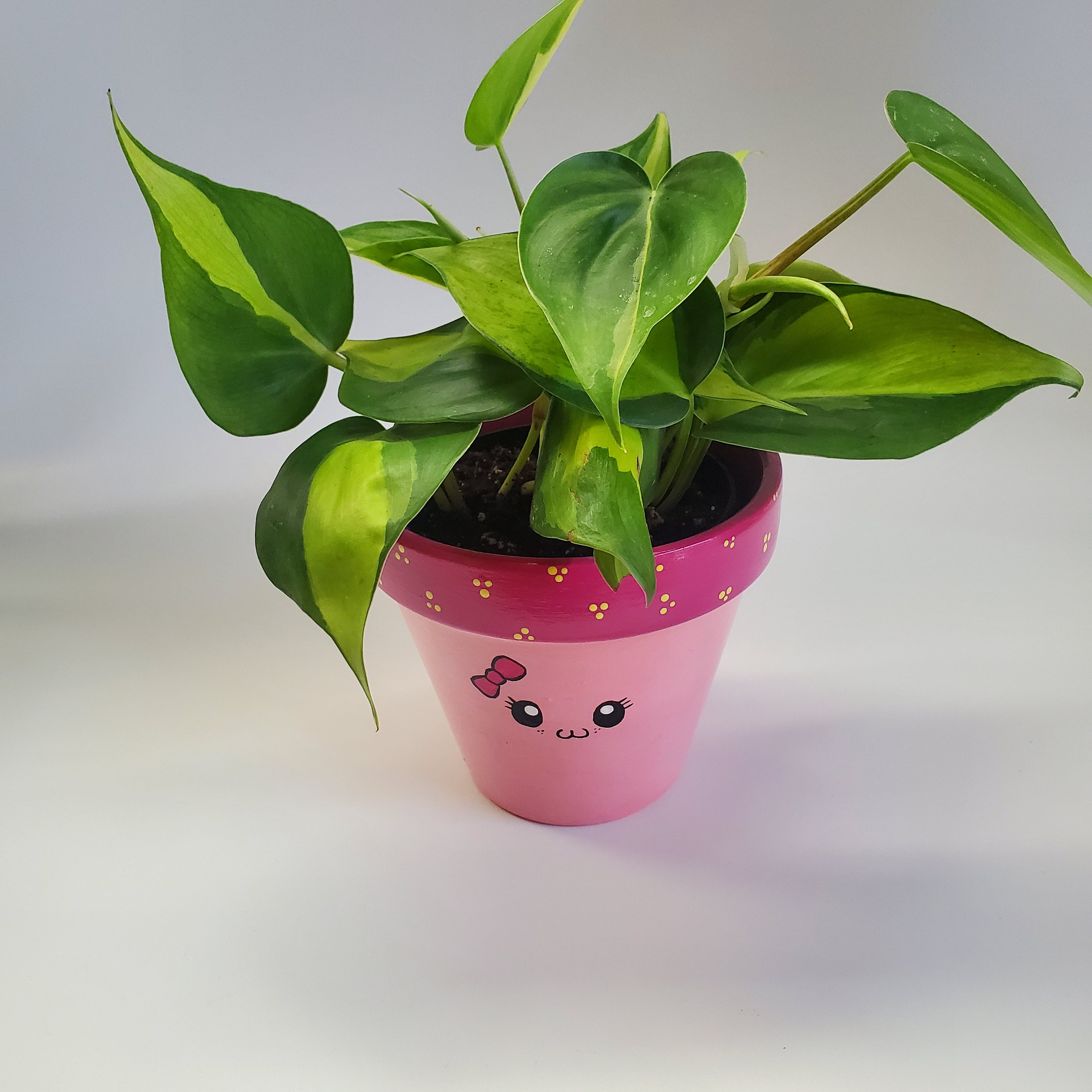 Hand Painted Pink Happy Face Flower Pot - Etsy