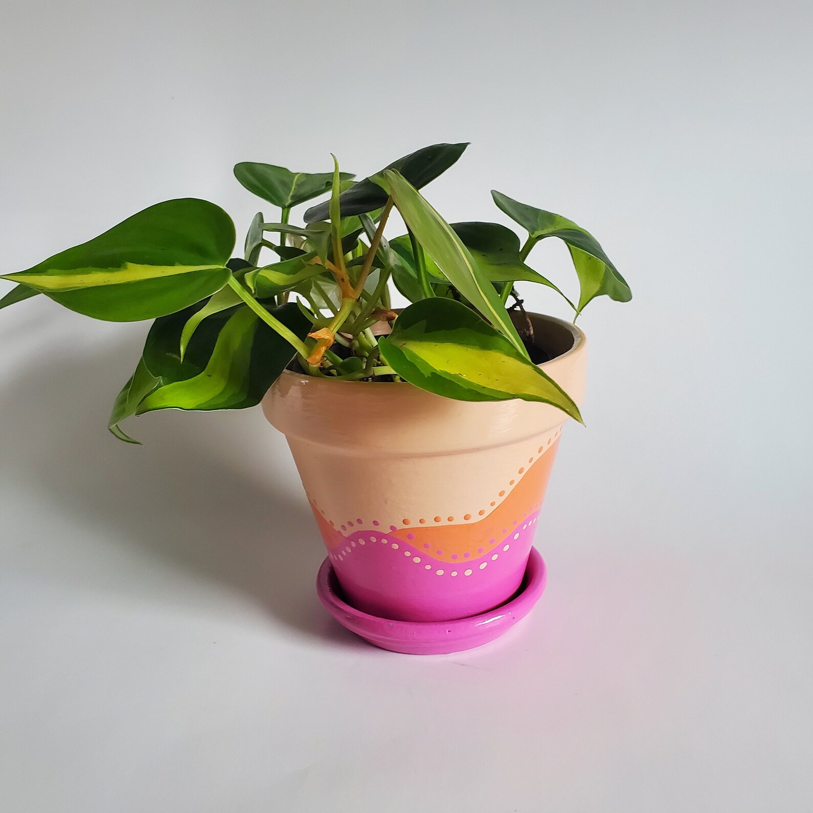 Sunset Colors Planter Flower Pot 4.5 - Etsy Sweden