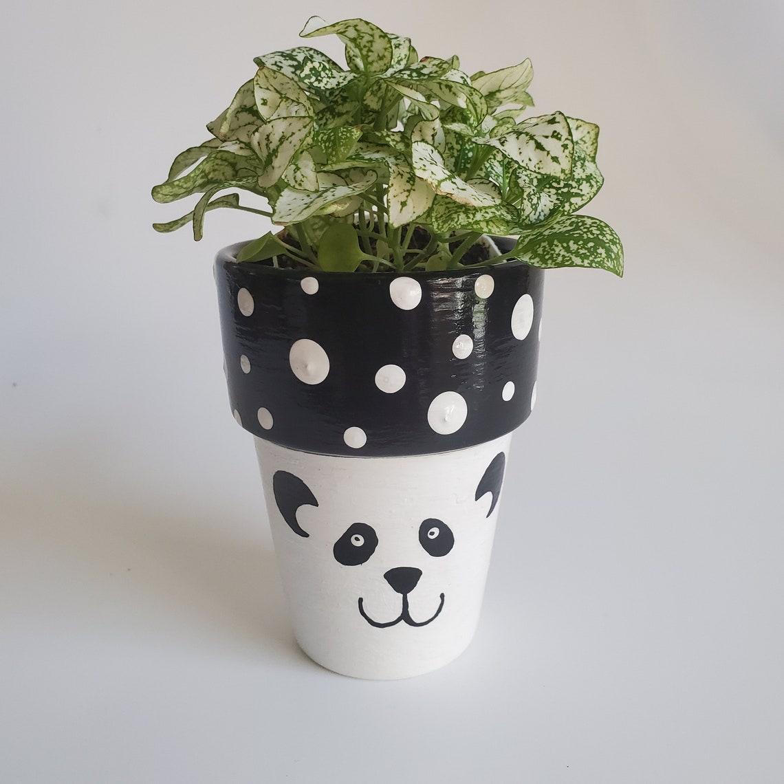 Hand Painted Panda Bear Face Flower Pot 3 - Etsy