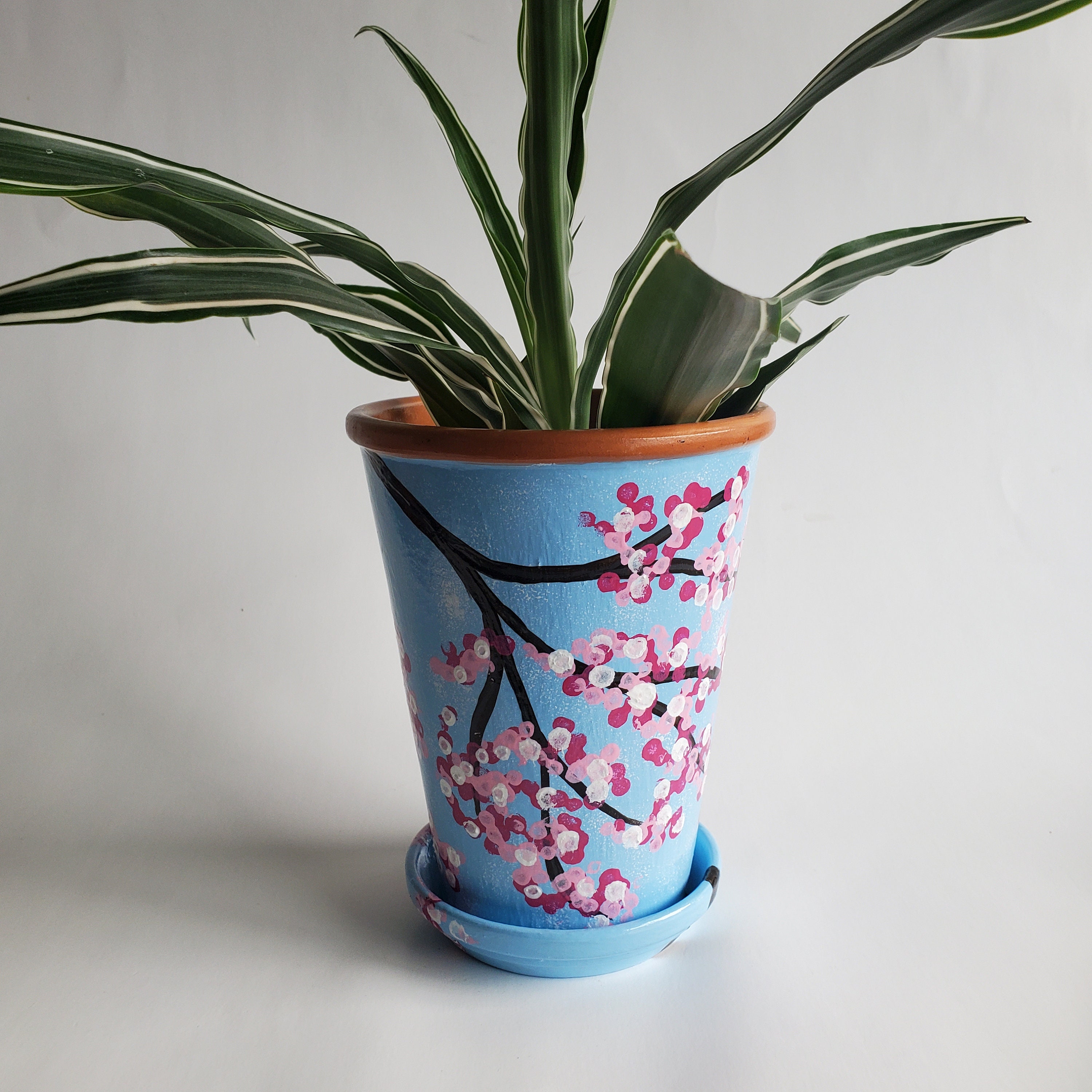 Cherry Blossom Planter Pot Hand Painted 4.25 - Etsy