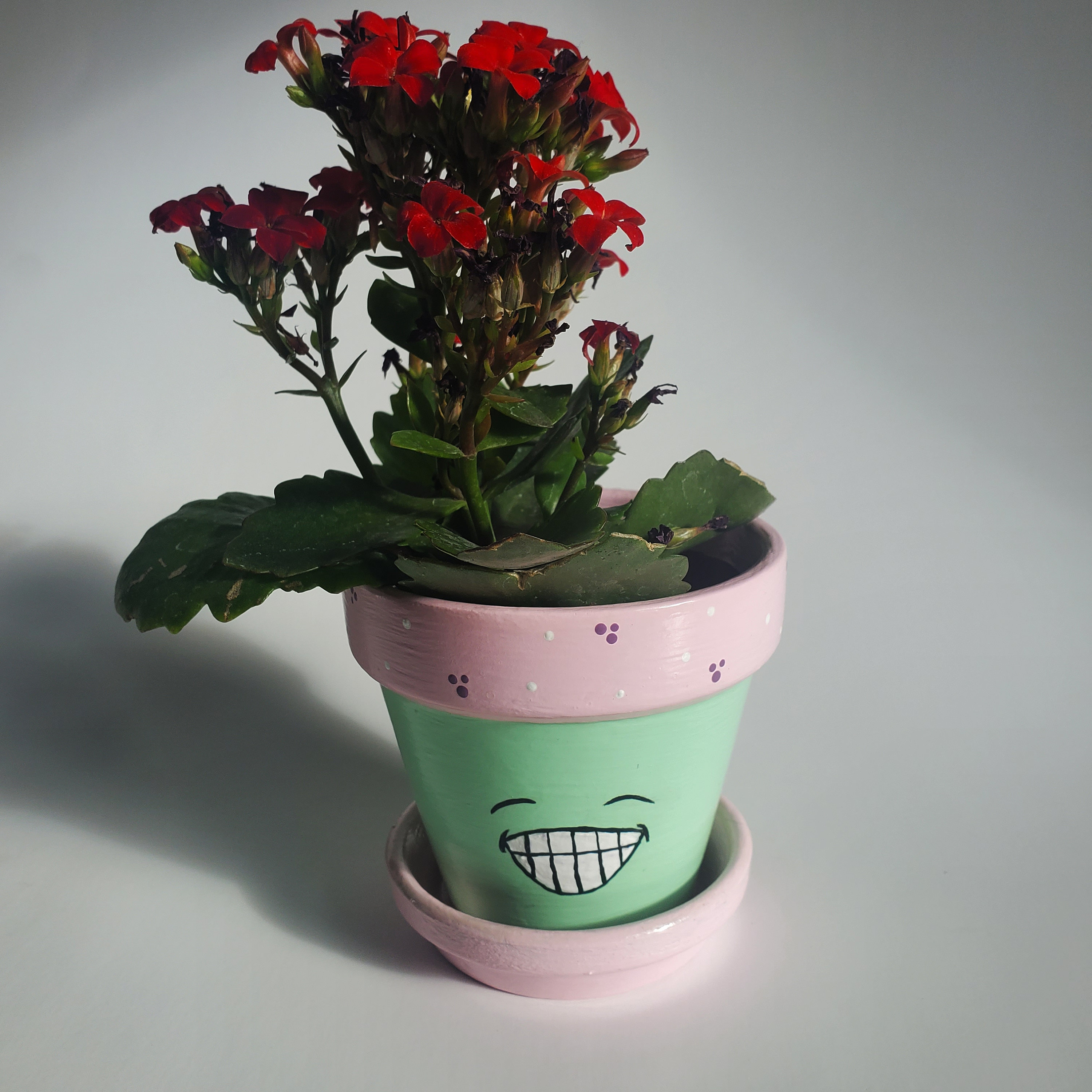 Small Mint Green and Pink Happy Face Flower Pot Planter Hand Painted 3. ...