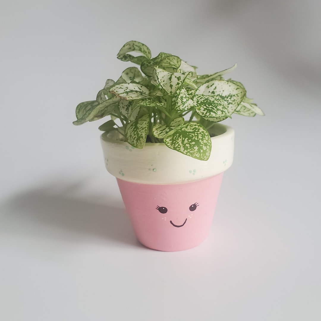 Tiny Pink and Cream Happy Face Flower Pot Planter Hand Painted 2.75" - Etsy