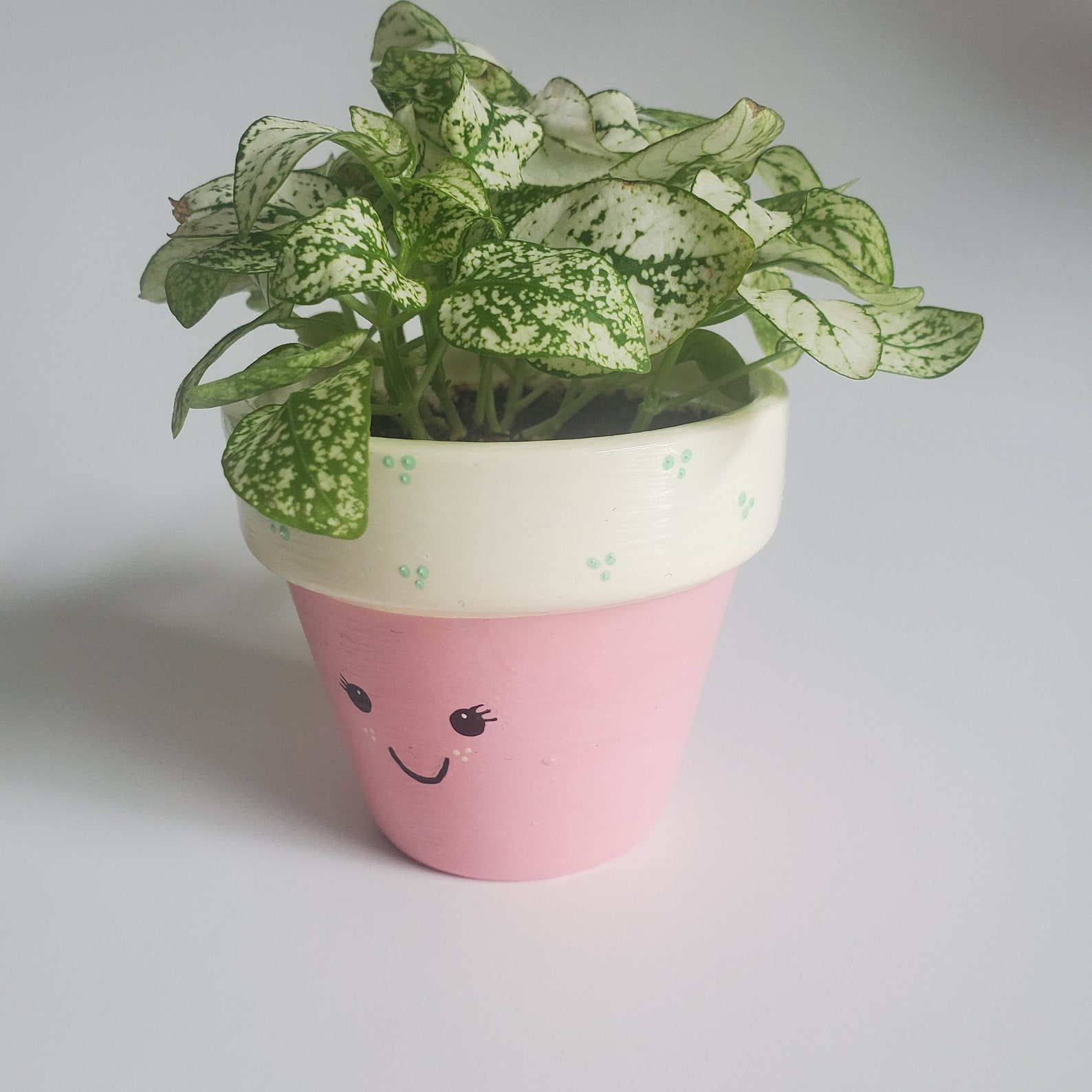 Tiny Pink and Cream Happy Face Flower Pot Planter Hand Painted 2.75" - Etsy