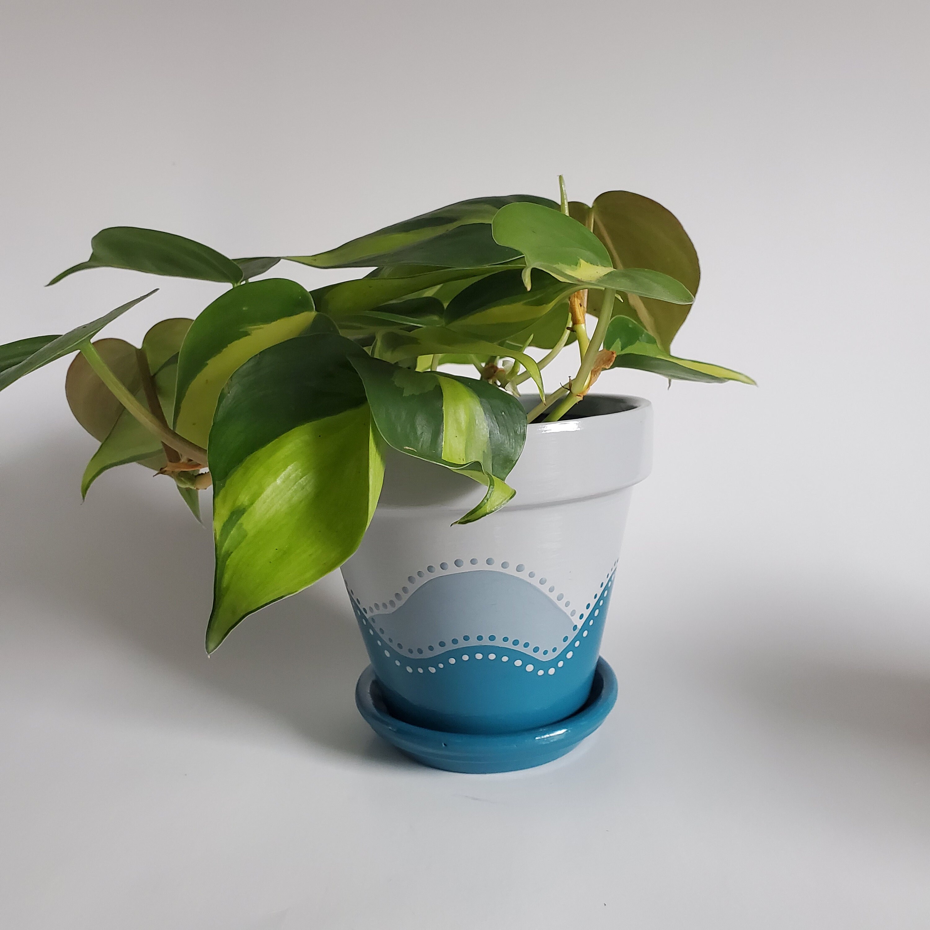 Gray and Blue Waves Planter Flower Pot 4.5" - Etsy