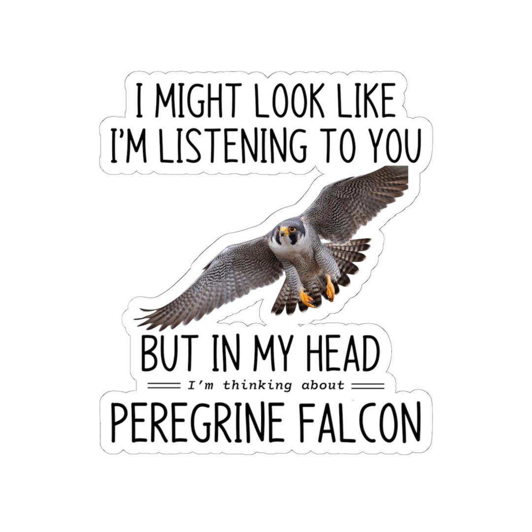 Peregrine Falcon, Falcon Bird Sticker, Raptor Vinyl Decal, Birdwatcher ...