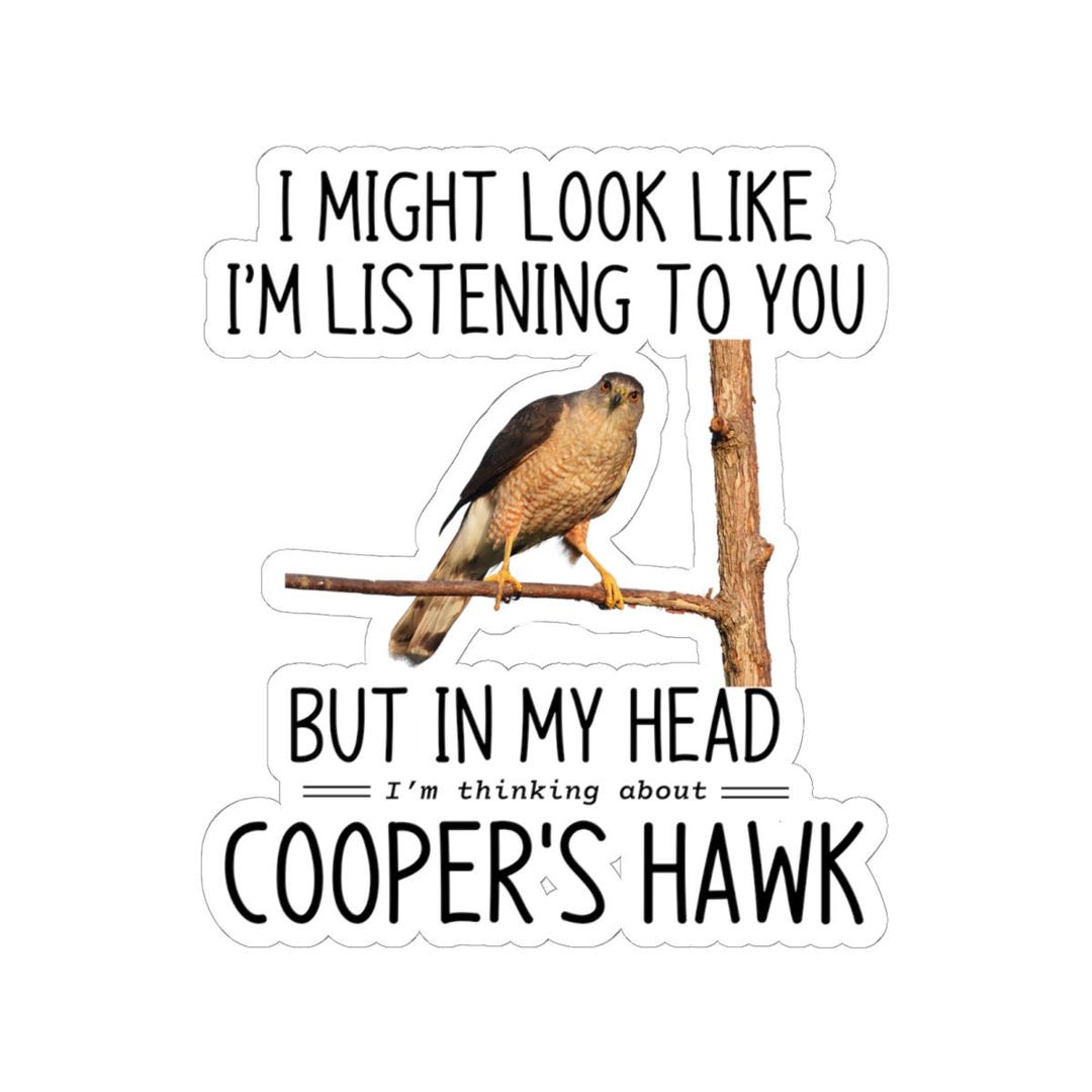 Coopers Hawk Sticker, Hawk Vinyl Decal, Birdwatcher Gift, Raptor Bird ...