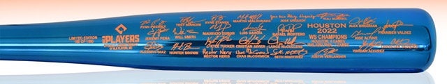 Houston 2022 WS Champions Team Signature Chrome Splash Bat - Etsy