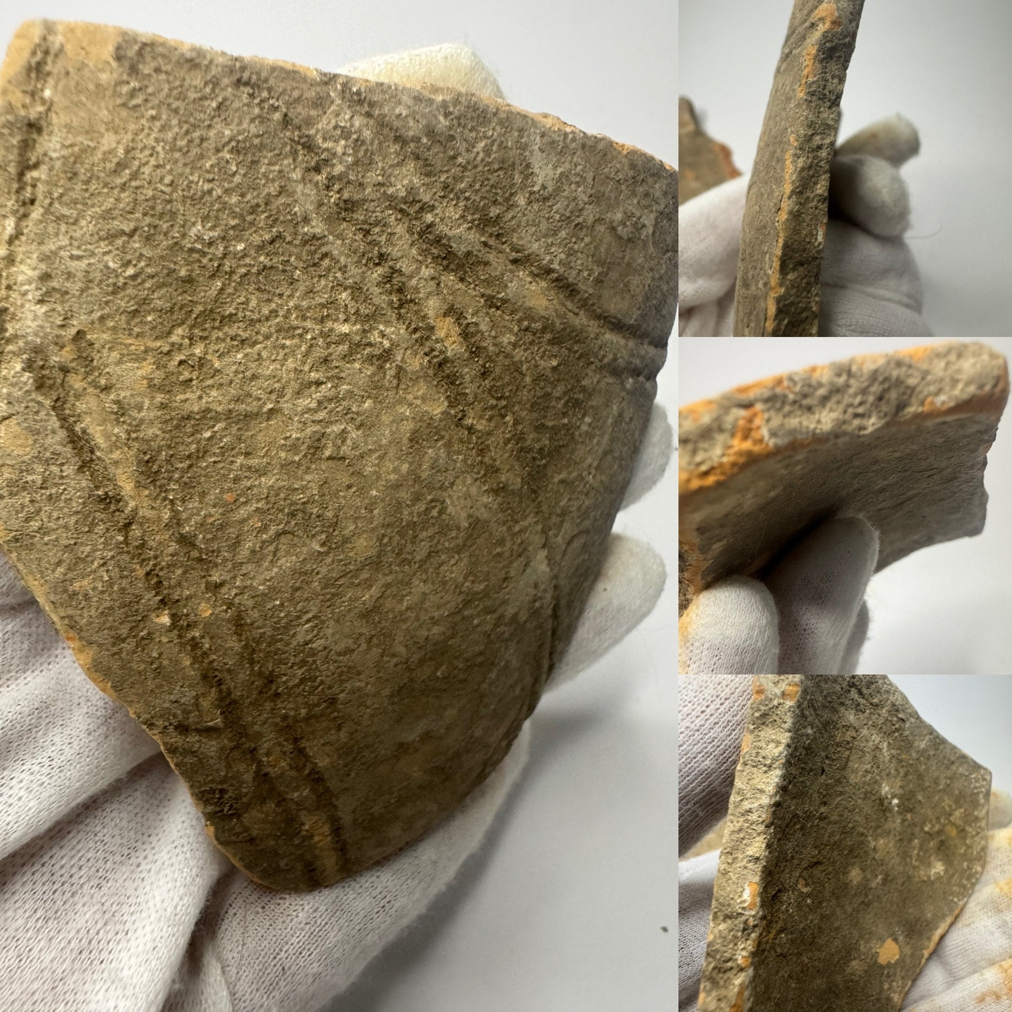 Ancient Pottery Shards.ancient Pottery Trypillia Culture. Original ...