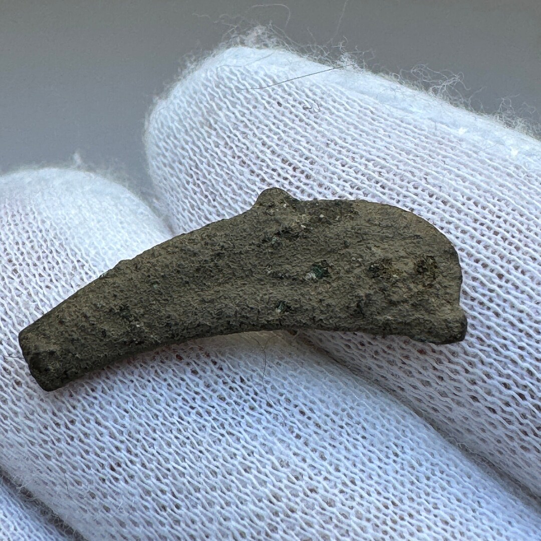 Ancient Greek Coin Dolphin of Olbia 500-400 AD. Bc.ancient Greece ...