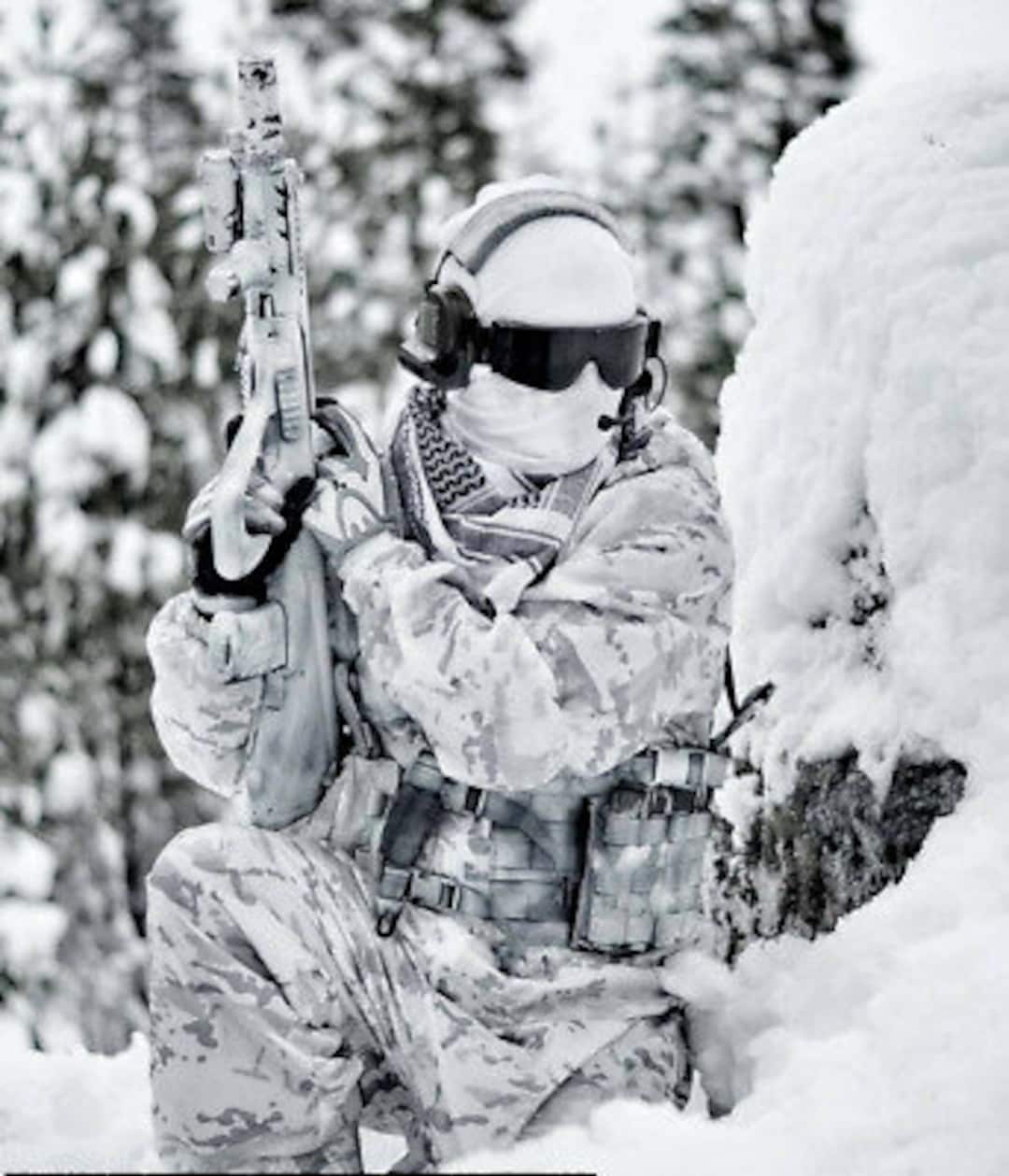 Multi-chamber Alpine.camouflage Suit Multicam Alpine for Camouflage on ...