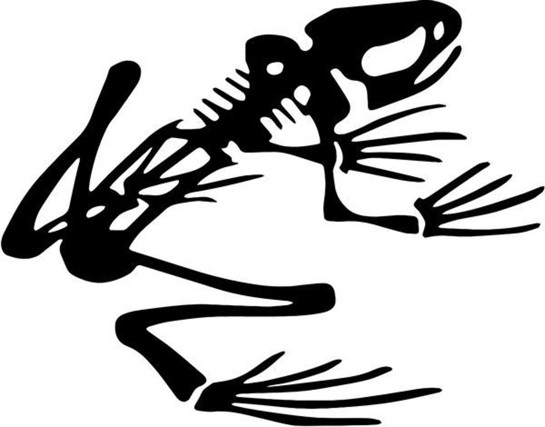 Made in USA - Animal_frog_skeleton Die Cut Vinyl Decal Sticker for Car ...