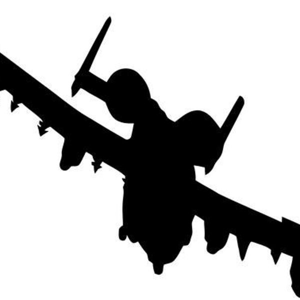 Warthog - Etsy