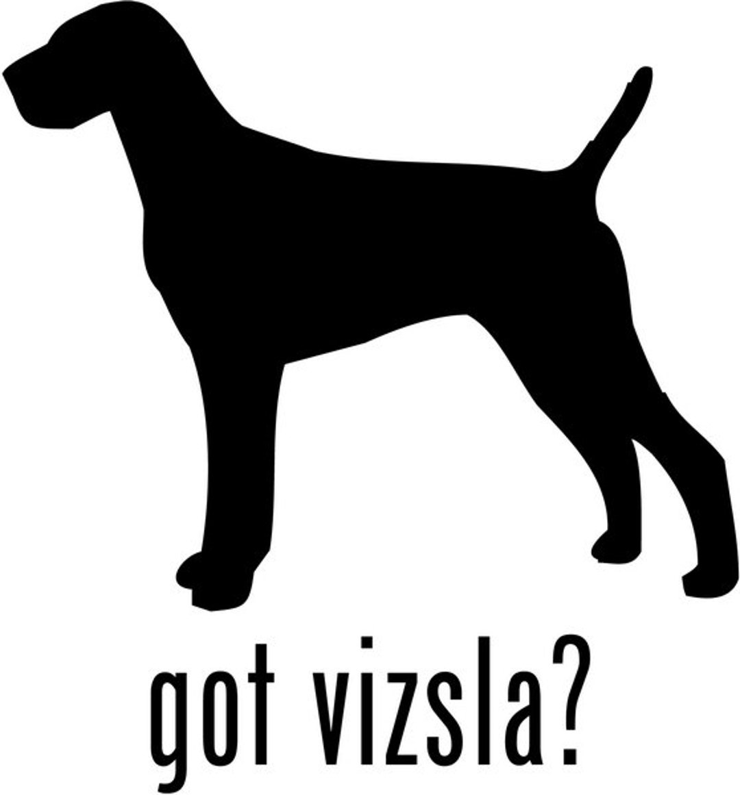 Dogs Sporting Got Vizsla Vinyl Decal Sticker Car Truck Vehicle Bumper ...