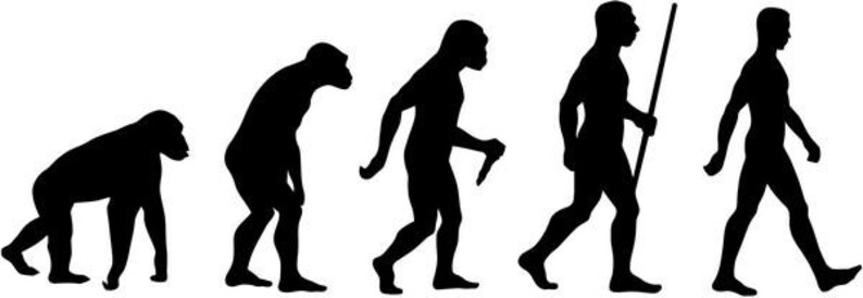 Evolution Men Vinyl Decal Sticker Car Truck Vehicle Bumper Window Wall ...