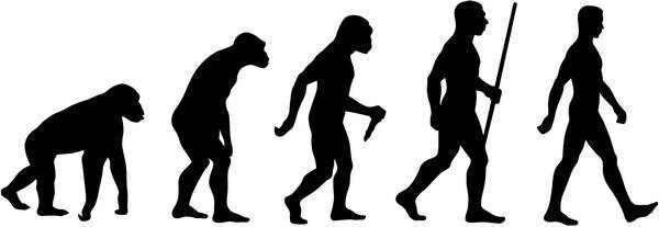Evolution Men Vinyl Decal Sticker Car Truck Vehicle Bumper Window Wall ...