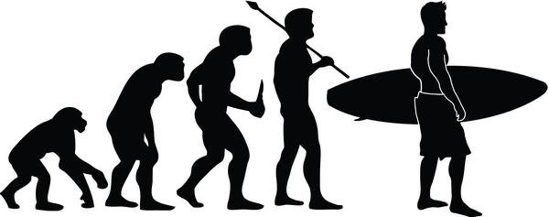 Evolution Surfing 2 Vinyl Decal Sticker Car Truck Vehicle Bumper Window ...