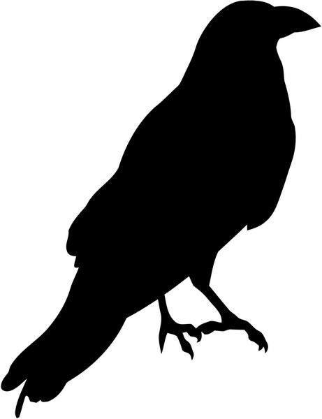 Animal Bird Crow Vinyl Decal Sticker Car Truck Vehicle Bumper Window ...