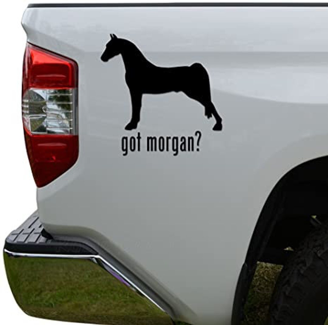 Got Morgan Horse Die Cut Vinyl Decal Sticker for Car Truck Motorcycle ...