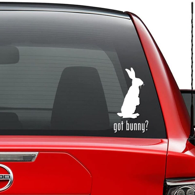 Bunny Motorcycle Helmet - Etsy