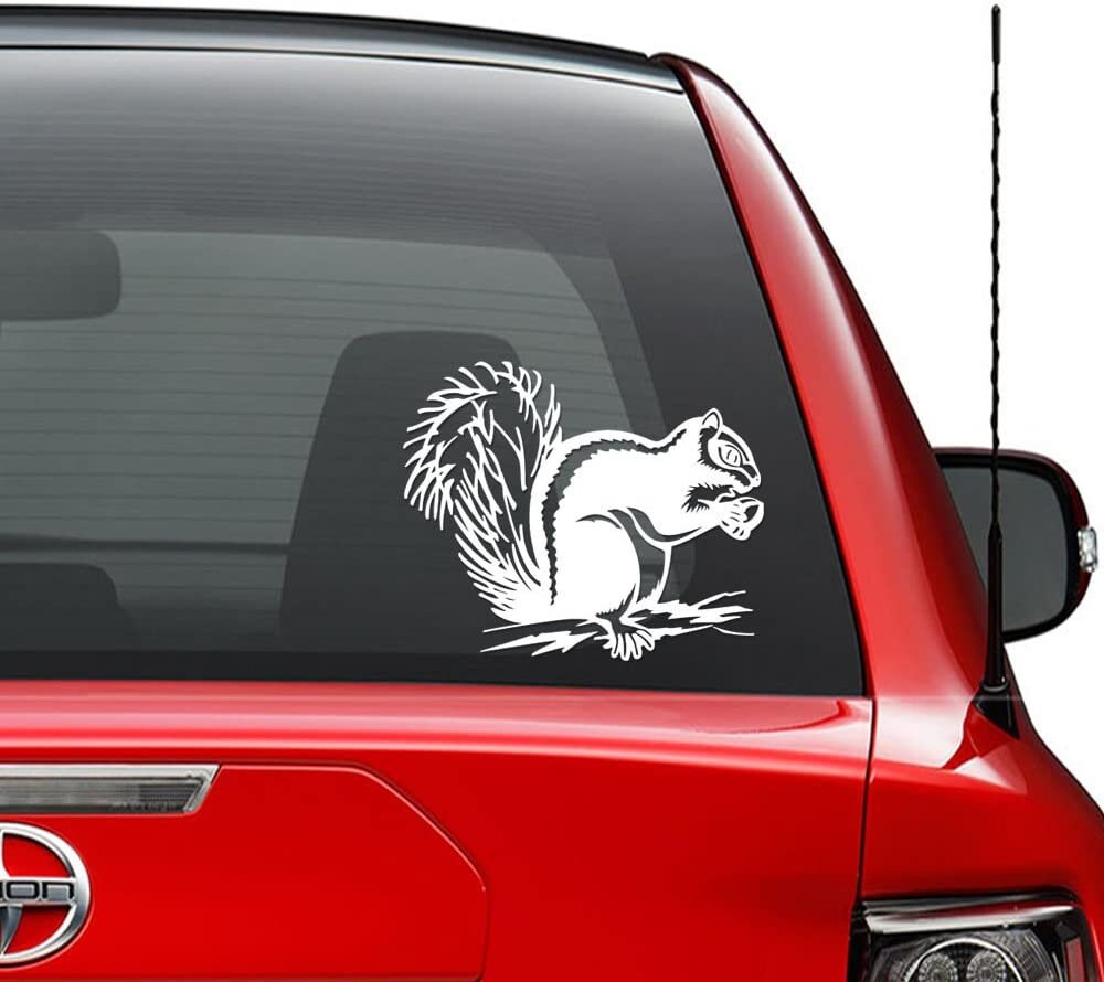 Squirrel Eating Nut Vinyl Decal Sticker Car Truck Vehicle - Etsy
