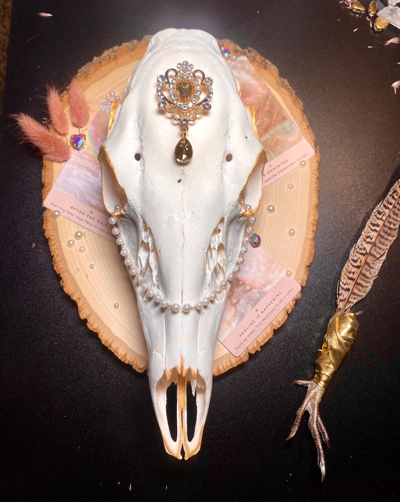 Oracle Skull Art - Etsy