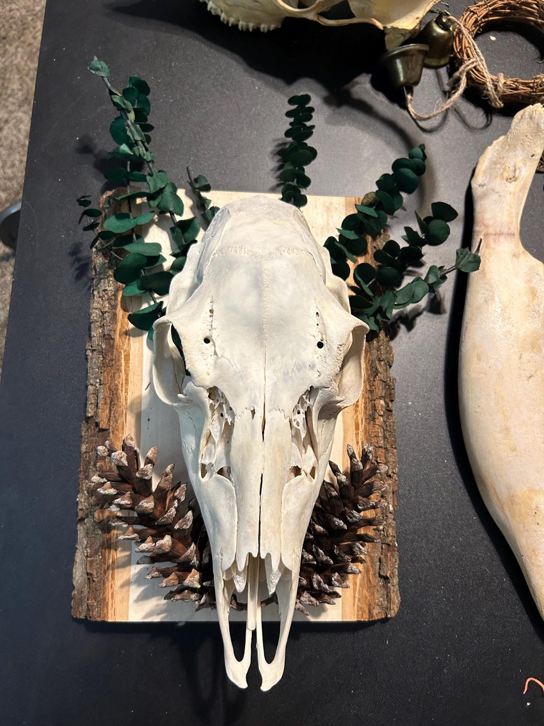 Yule Skull Art - Etsy