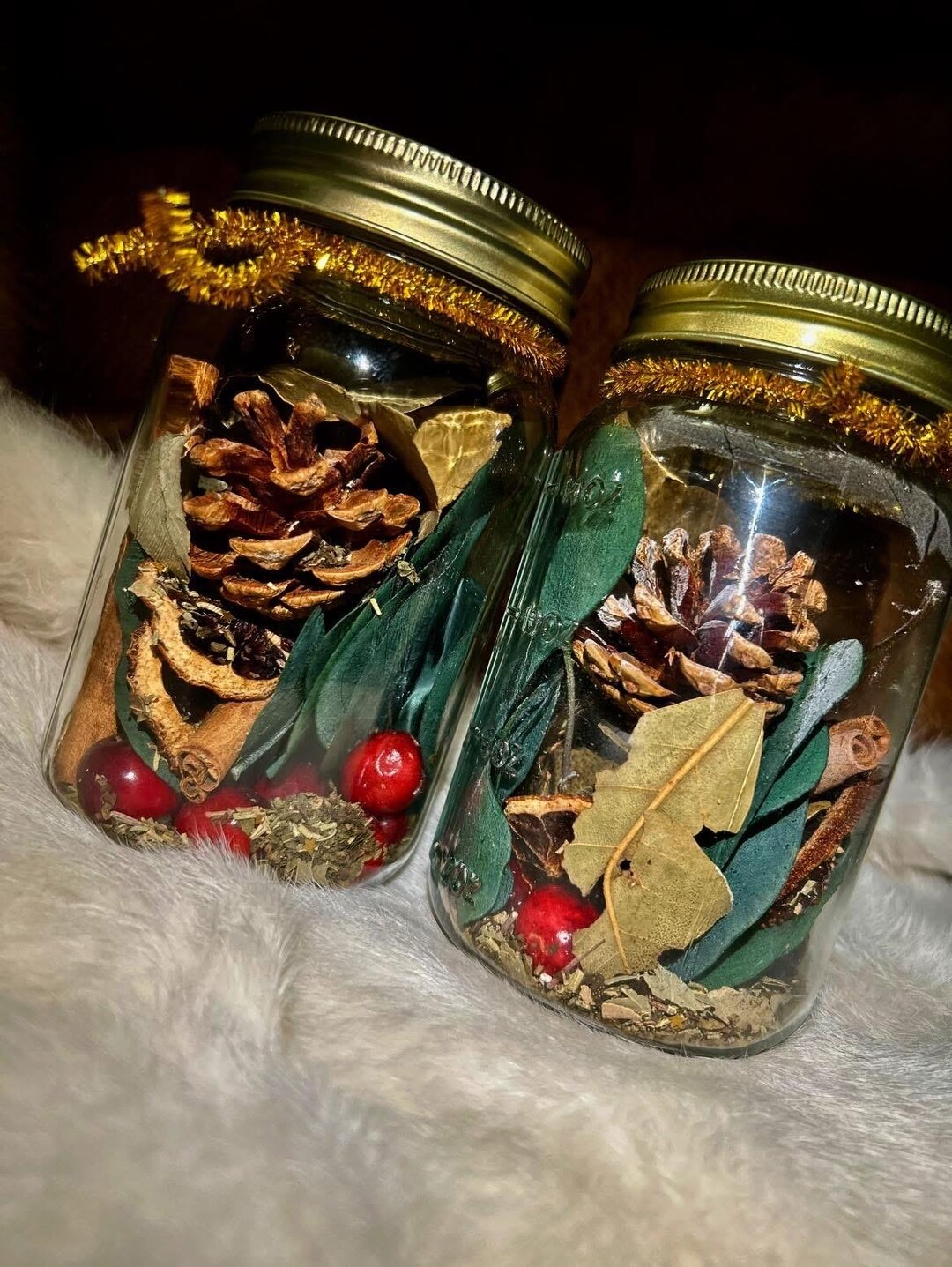 Prosperity and Protection Simmer Pot Kit - Etsy