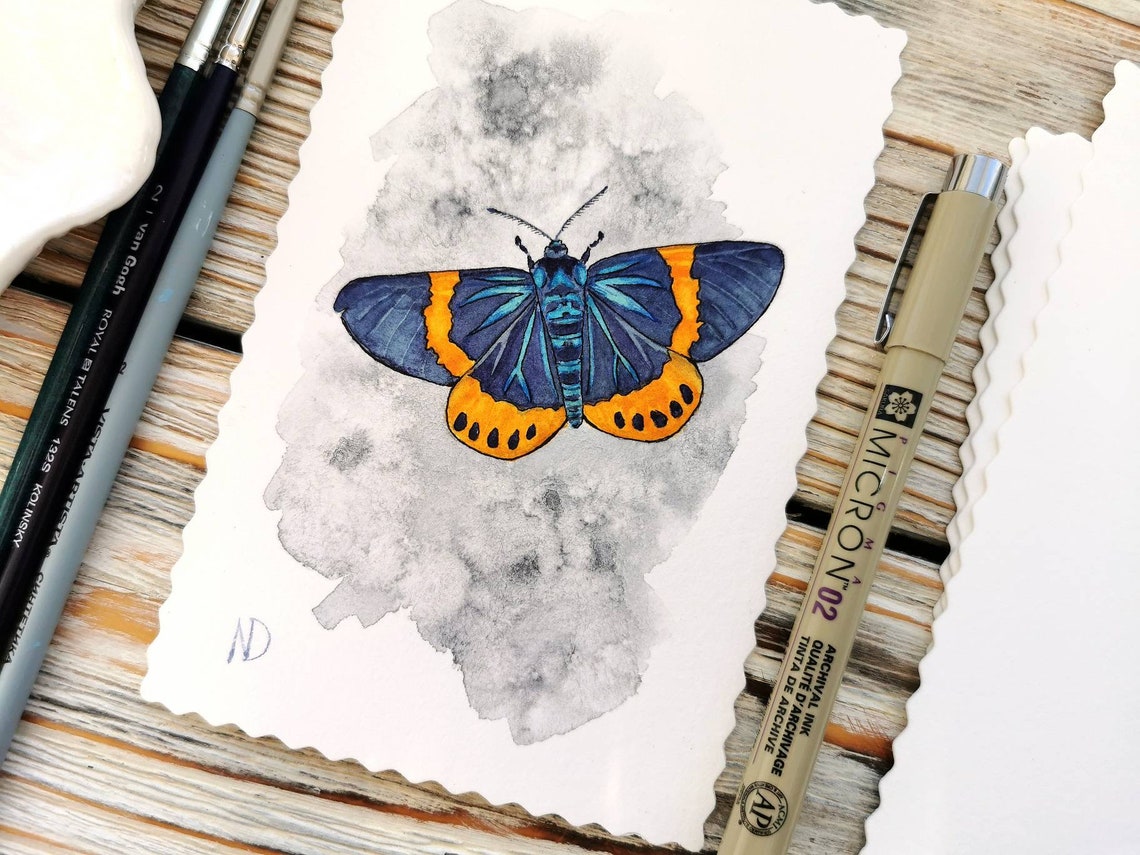 Colorful Moth Original Watercolor Painting 4 by 6 Bright | Etsy