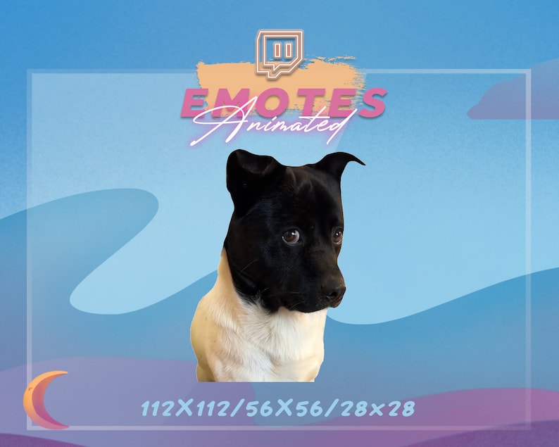 GUILTY DOG Meme Emote Stream Emote Meme Emote Kawaii GIF - Etsy