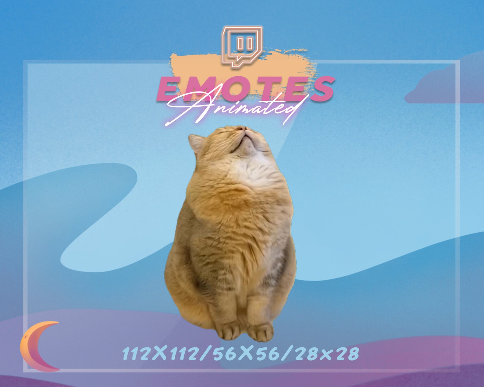 SLEEPING CAT Meme Meme Emote Stream Emote Meme Emote Kawaii GIF - Etsy