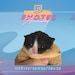 Kitten in Towel Meme Emote: Kawaii Animated GIF (digital Download) - Etsy