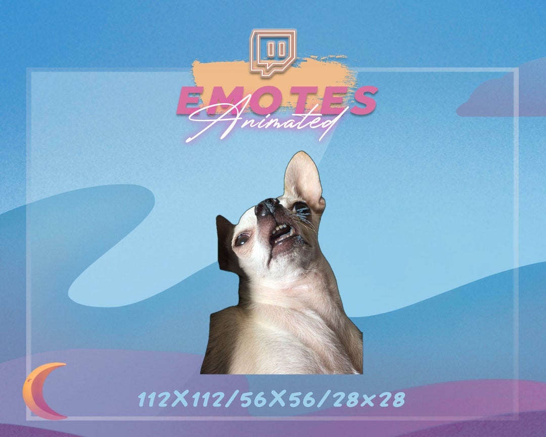 Chihuahua Zoned Out Meme Meme Emote Stream Emote Meme Emote Kawaii GIF ...