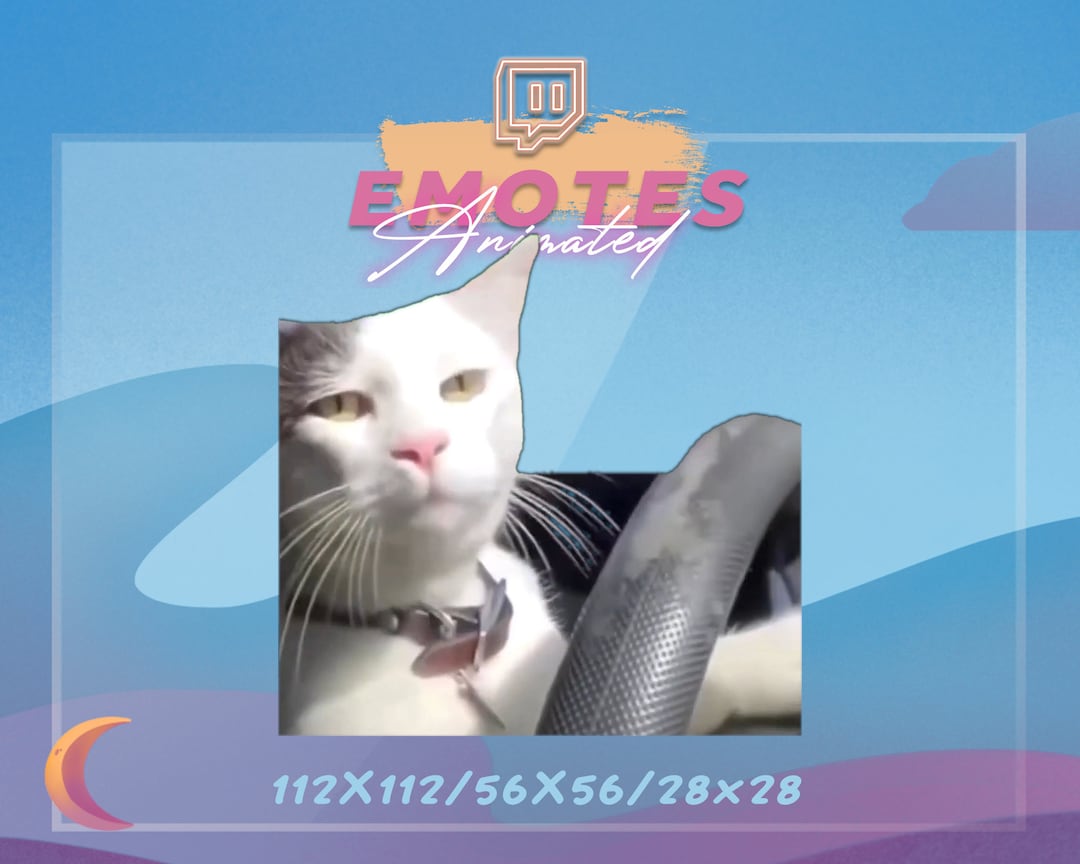 CAT Driving Car MEME - Meme Emote | Stream Emote | Meme Emote | Kawaii ...