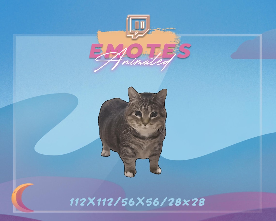 OIIAOIIA CAT Meme Emote: Animated Kawaii GIF (digital Download) - Etsy