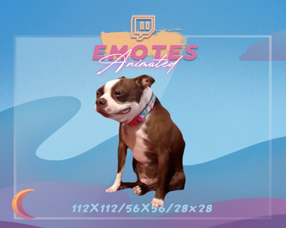 Crying Dog Meme Emote: Animated Kawaii GIF (digital Download) - Etsy